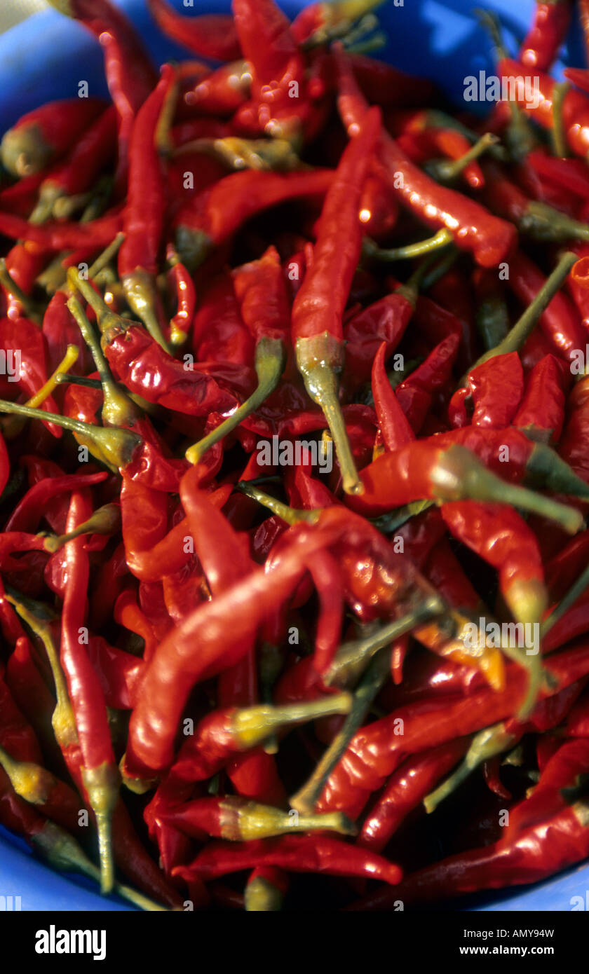 north africa tunisia nabeul close up of red chillie peppers Stock Photo ...