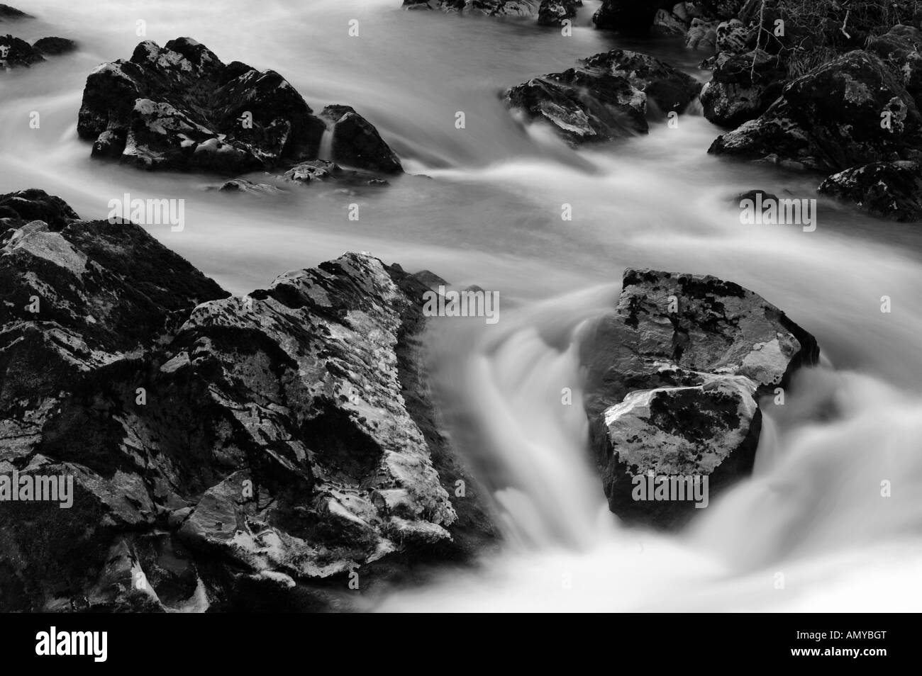 Black currents hi-res stock photography and images - Alamy