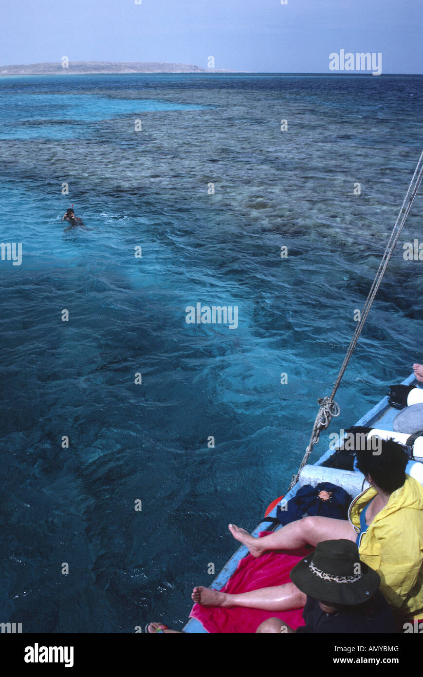 Snorkelling and swimming in the Red Sea Egypt Stock Photo - Alamy