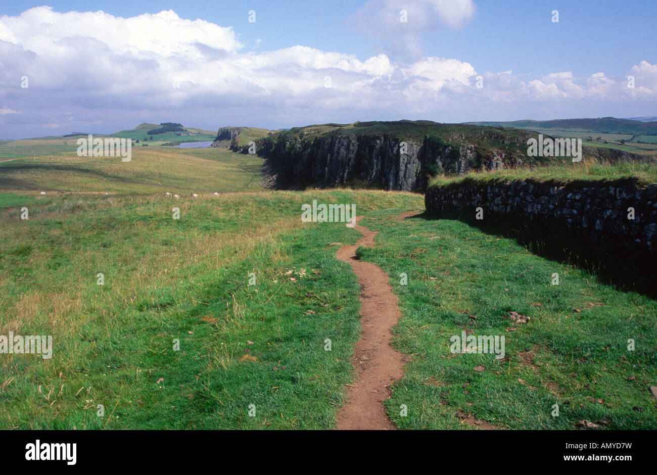 Steel Rigg Hadrian's Wall Northumberland England Stock Photo - Alamy