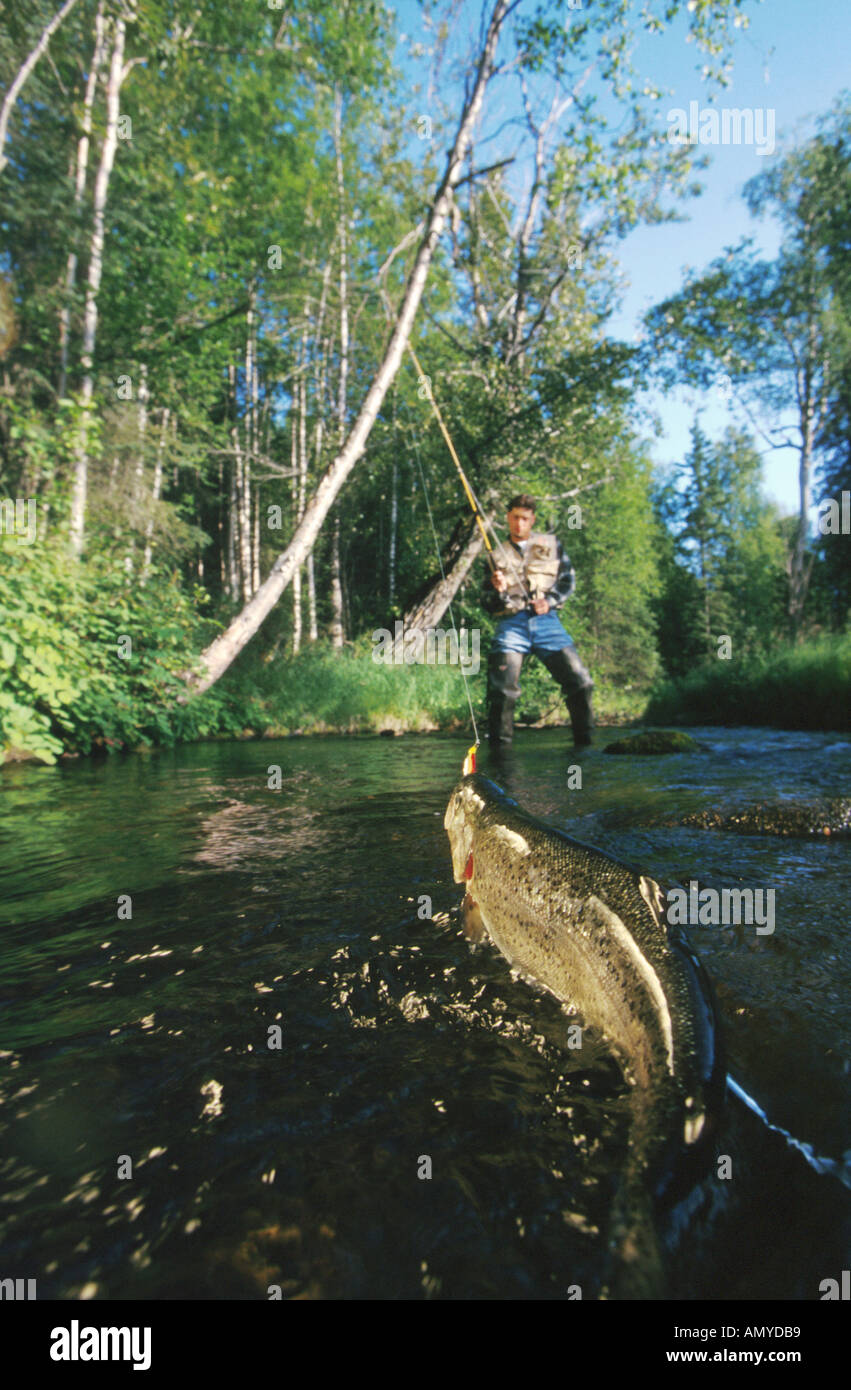 Fish fighting reflection hi-res stock photography and images - Alamy