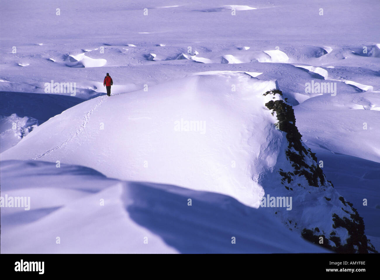 Hiking in Ruth Glacier Alaska Range Int AK Winter Stock Photo - Alamy