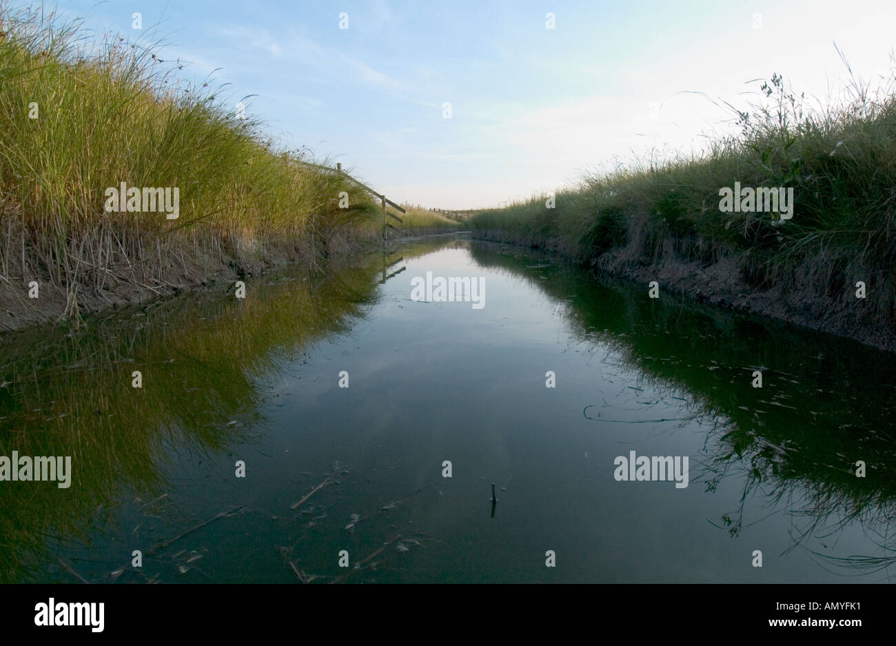 Grass lined ditch at Elmley Marshes RSPB Nature Reserve Stock Photo - Alamy