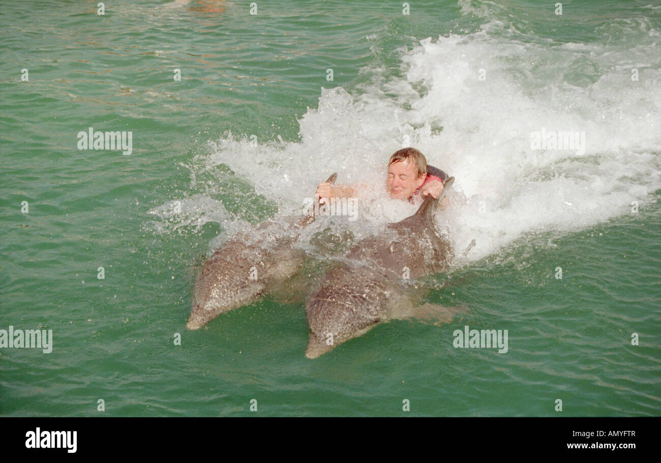 Dolphin enclosure hi-res stock photography and images - Alamy