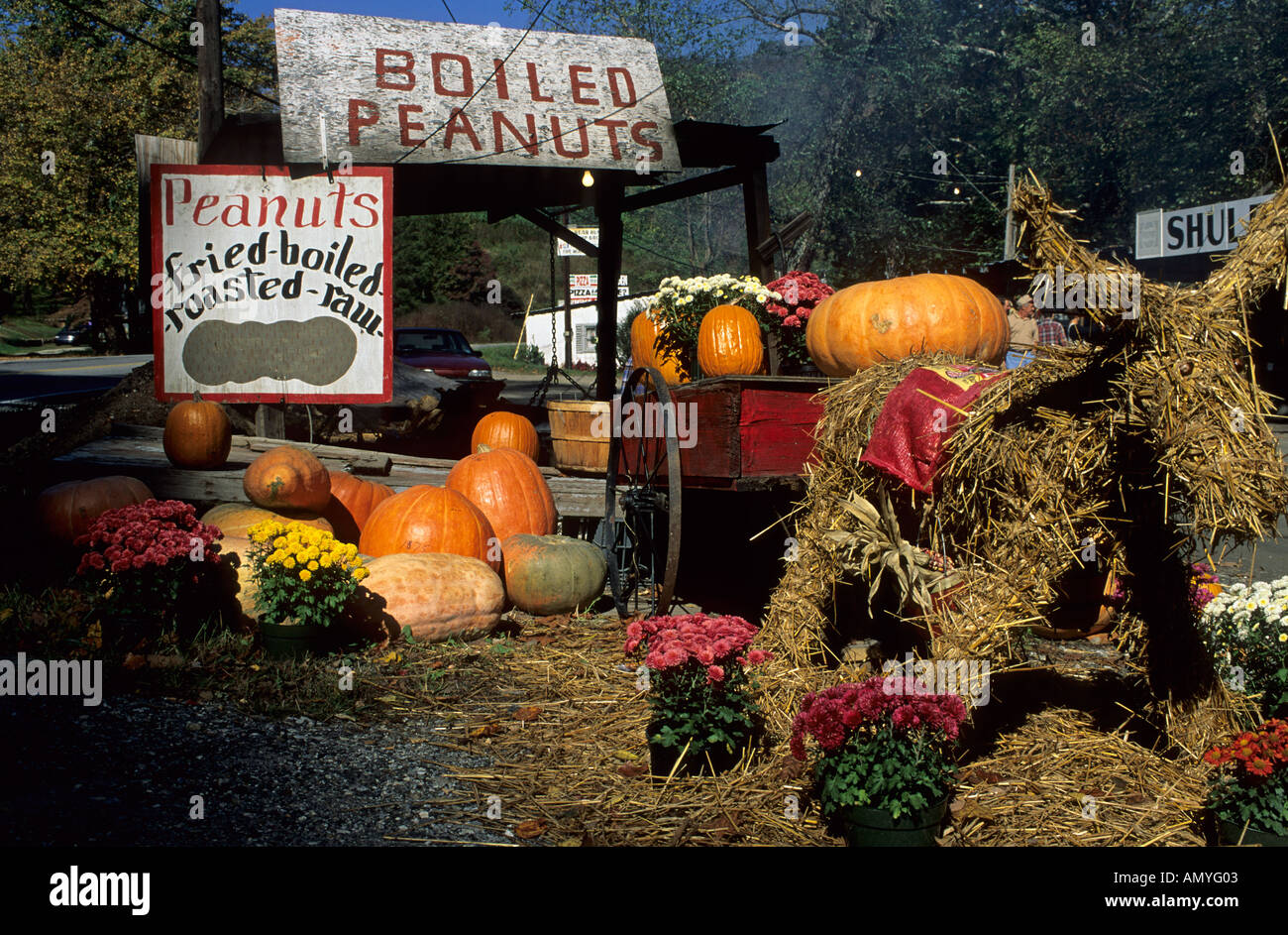 fall decoration at a booth selling peanuts Stock Photo - Alamy