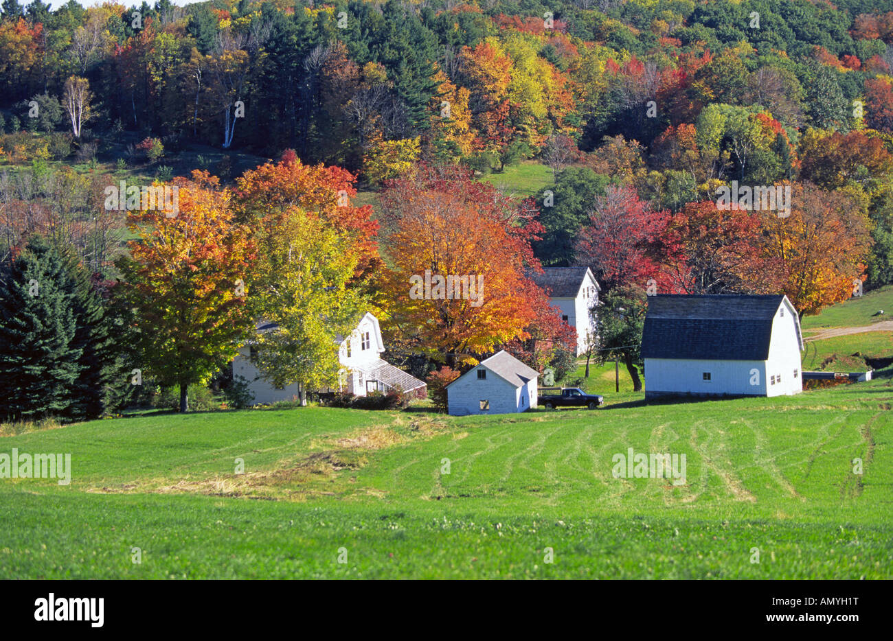 USA PENNSYLVANIA A beautiful farm surrounded by a hardwood forest ...