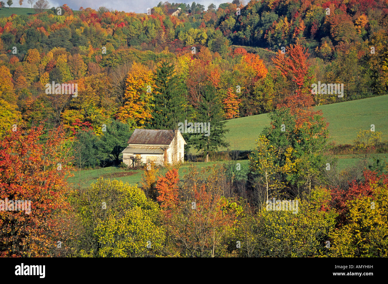 USA PENNSYLVANIA A beautiful farm surrounded by a hardwood forest ...