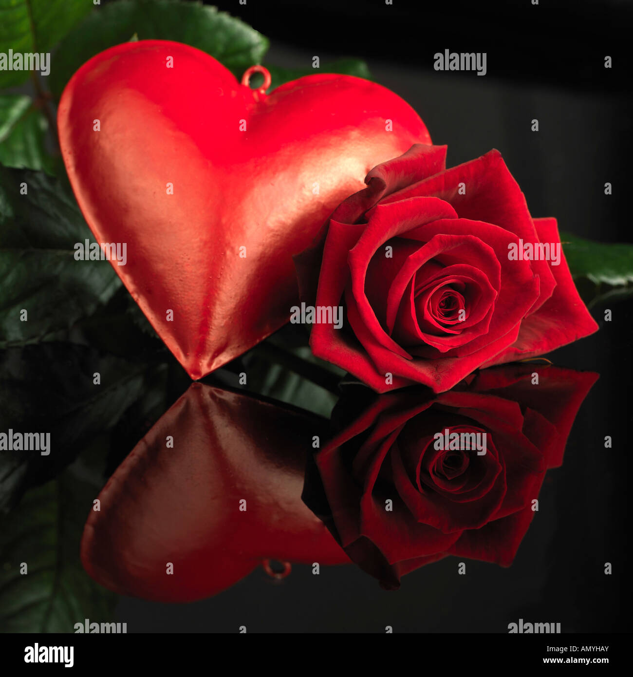 A 1026 Red heart and red rose with foliage with reflections Stock Photo ...