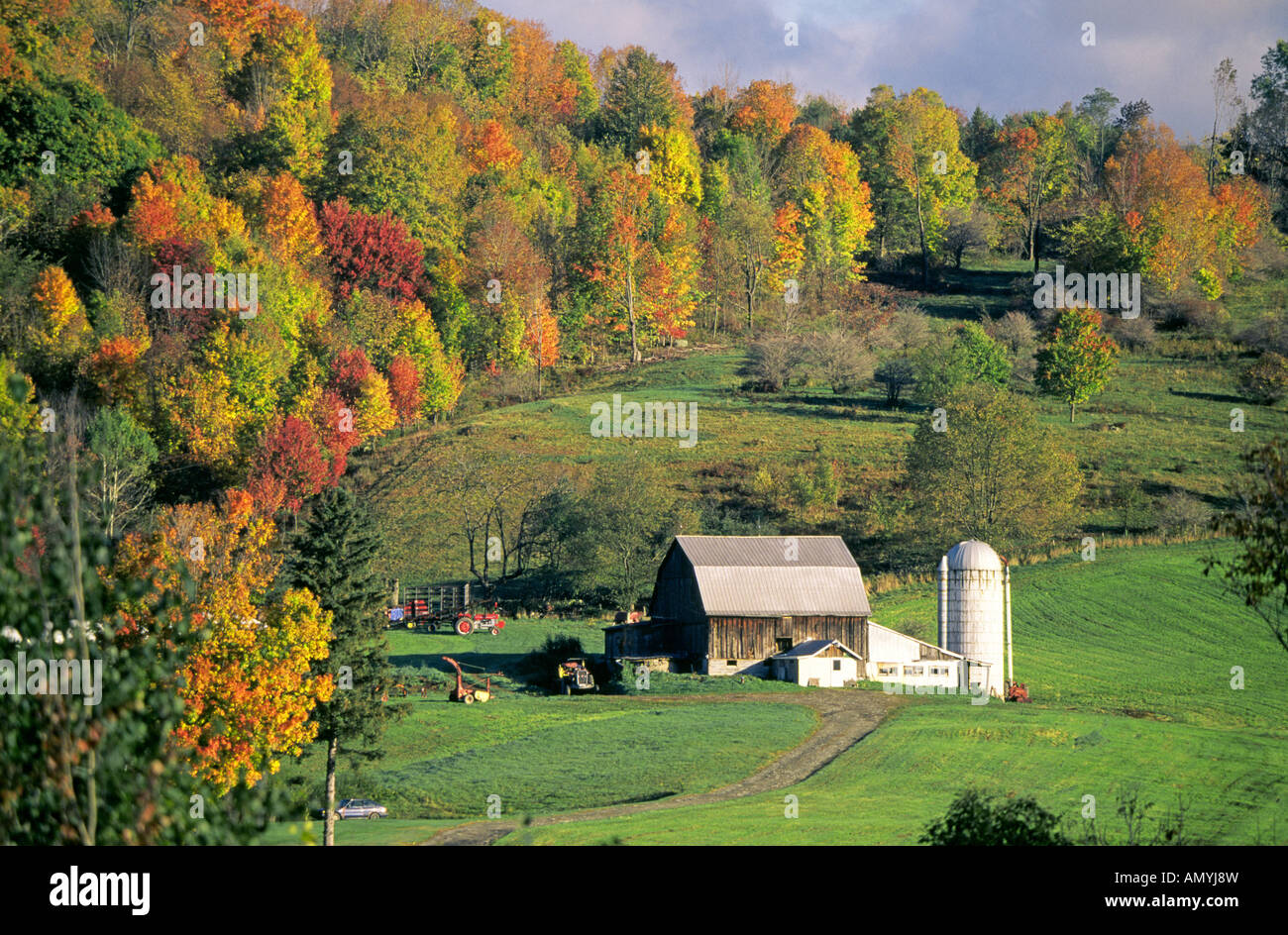 A beautiful farm surrounded by a hardwood forest turning color in the ...