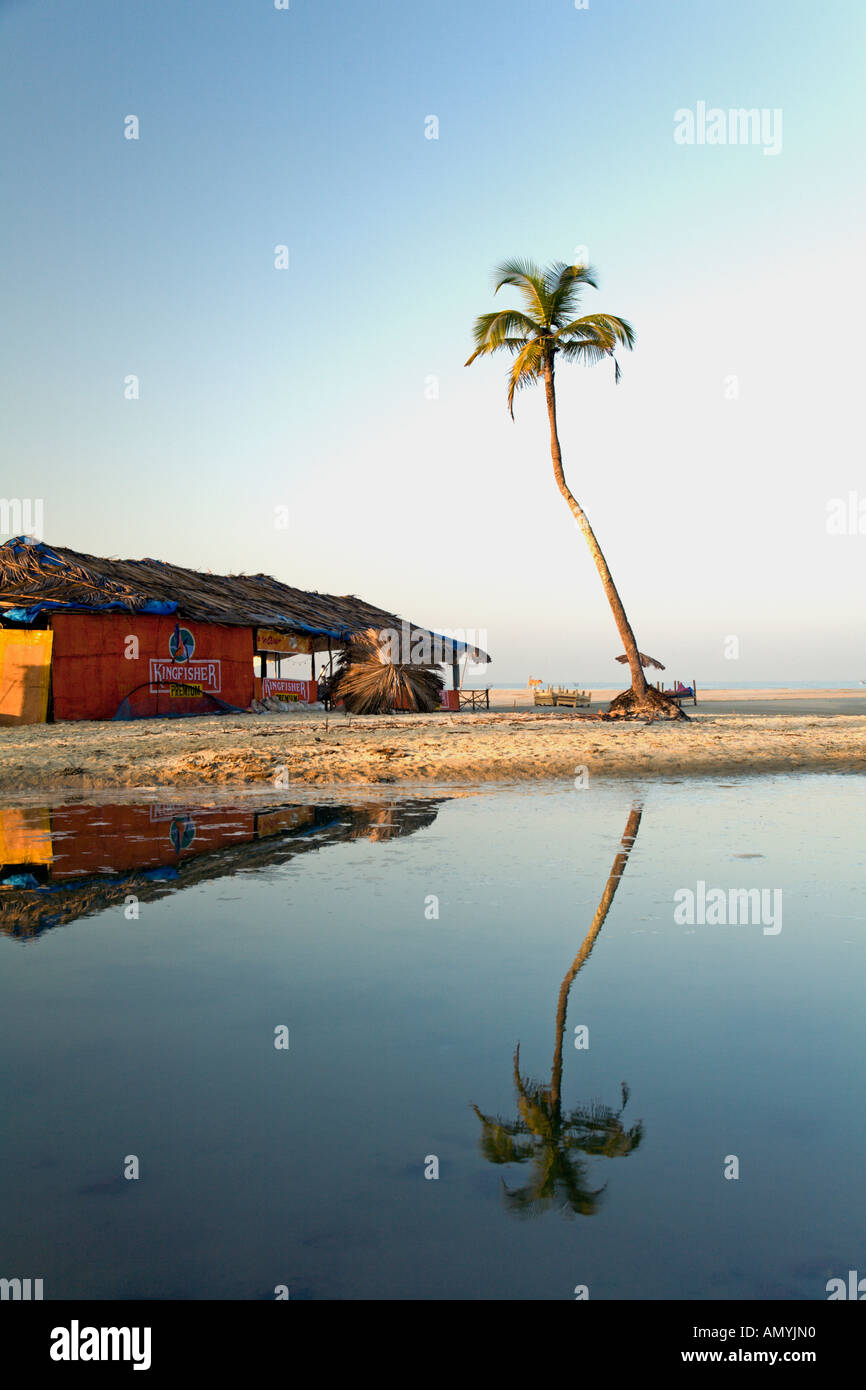 India Goa A lone palm tree guards a beach shack on Utorda Beach Stock ...