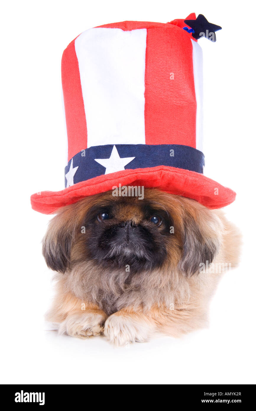 Uncle Sam Full Body Sitting