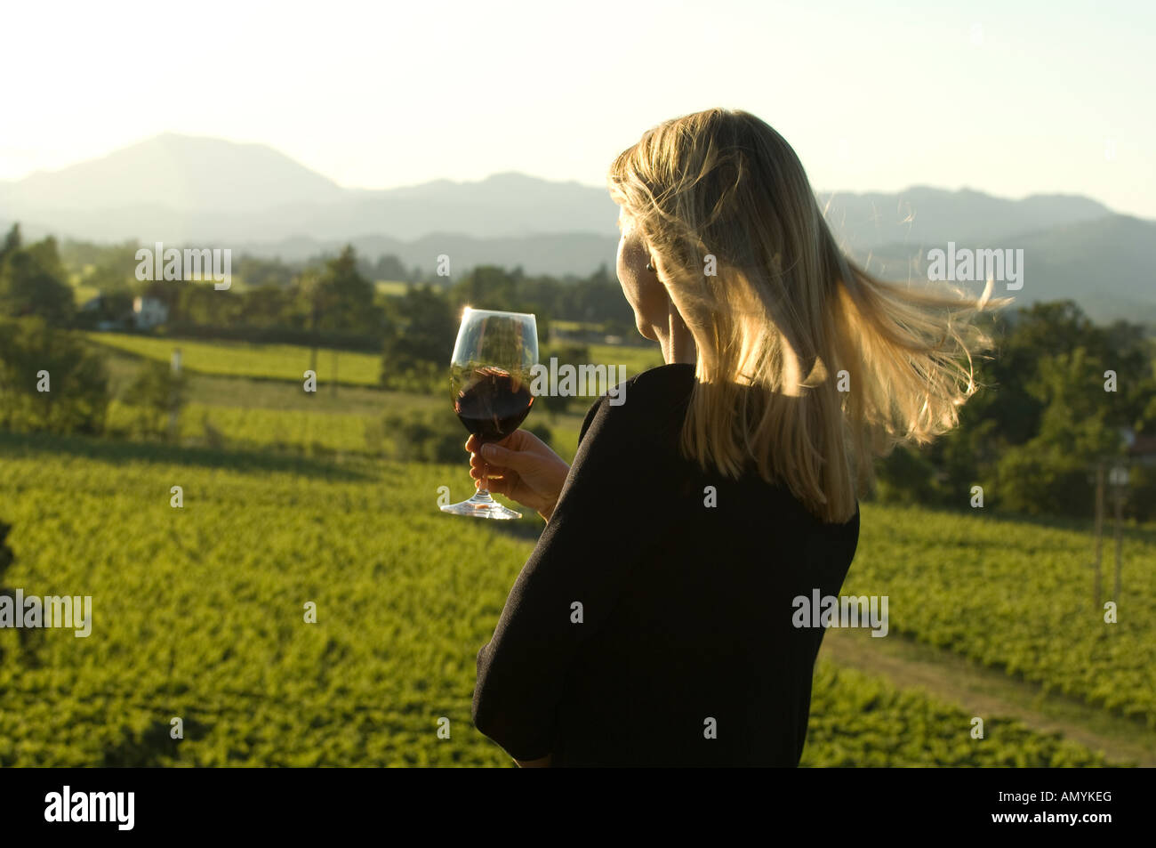 Wine tasting Napa Valley Stock Photo - Alamy