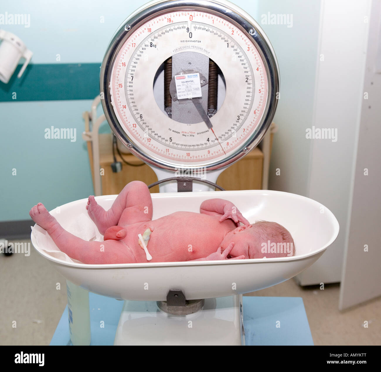 weighing a newborn baby boy Stock Photo - Alamy weighing a newborn baby boy Stock Photo - Alamy