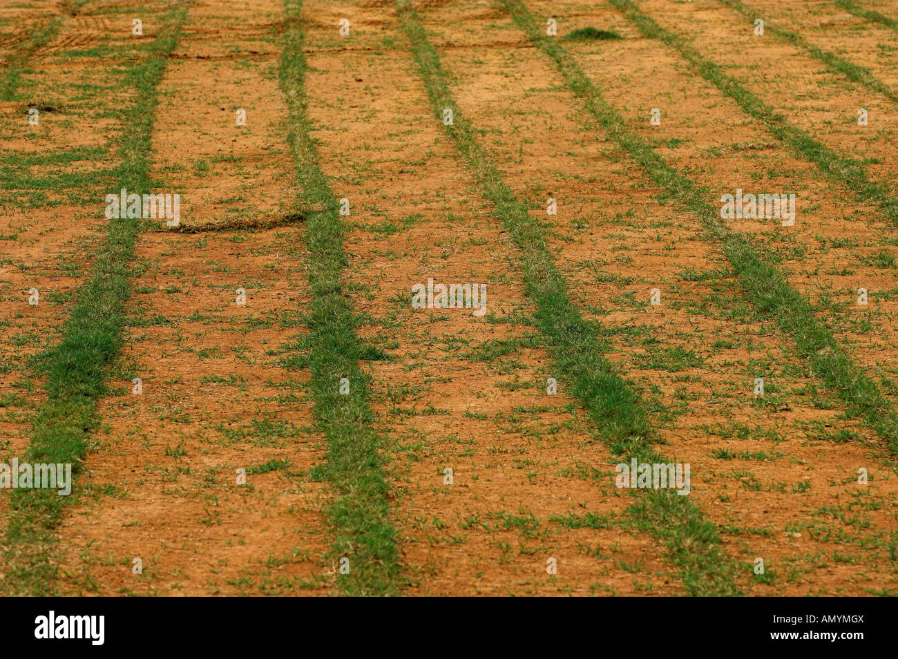 Turf Strips High Resolution Stock Photography and Images - Alamy