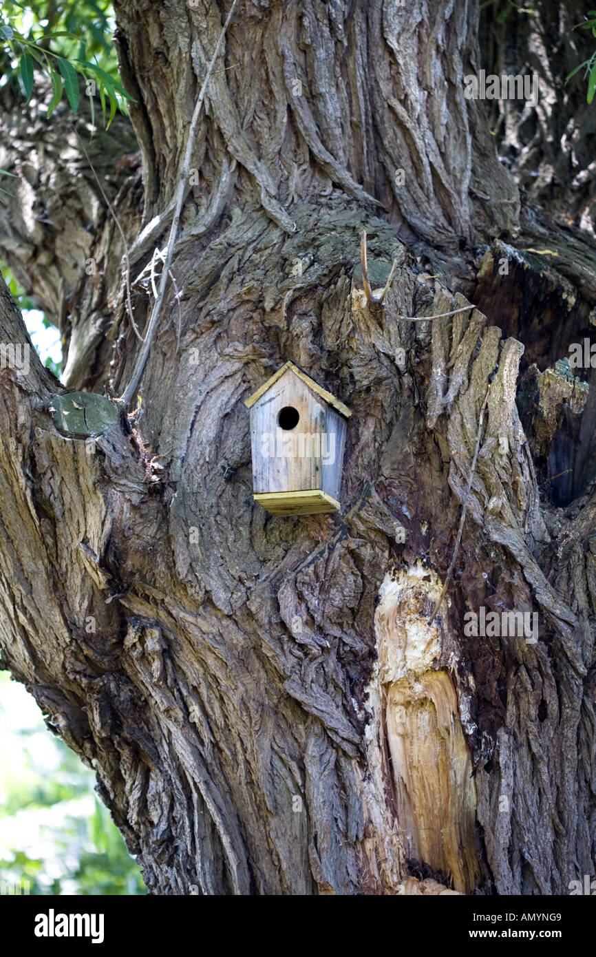 BIRD NESTING BOX IN A TREE Stock Photo - Alamy