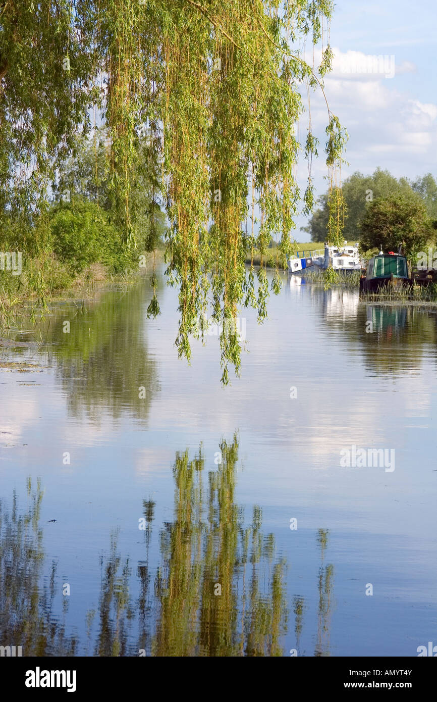 Overhanging tree river hi-res stock photography and images - Alamy