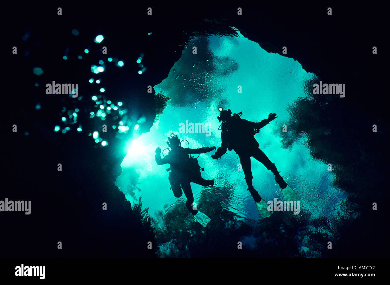 Ginnie springs hi-res stock photography and images - Alamy