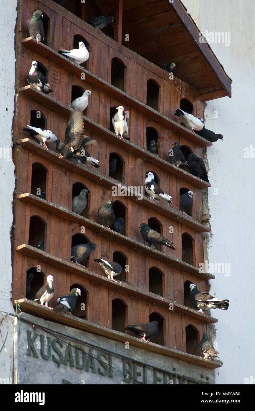 Turkey Kusadasi southern agean coast doves house Stock Photo - Alamy