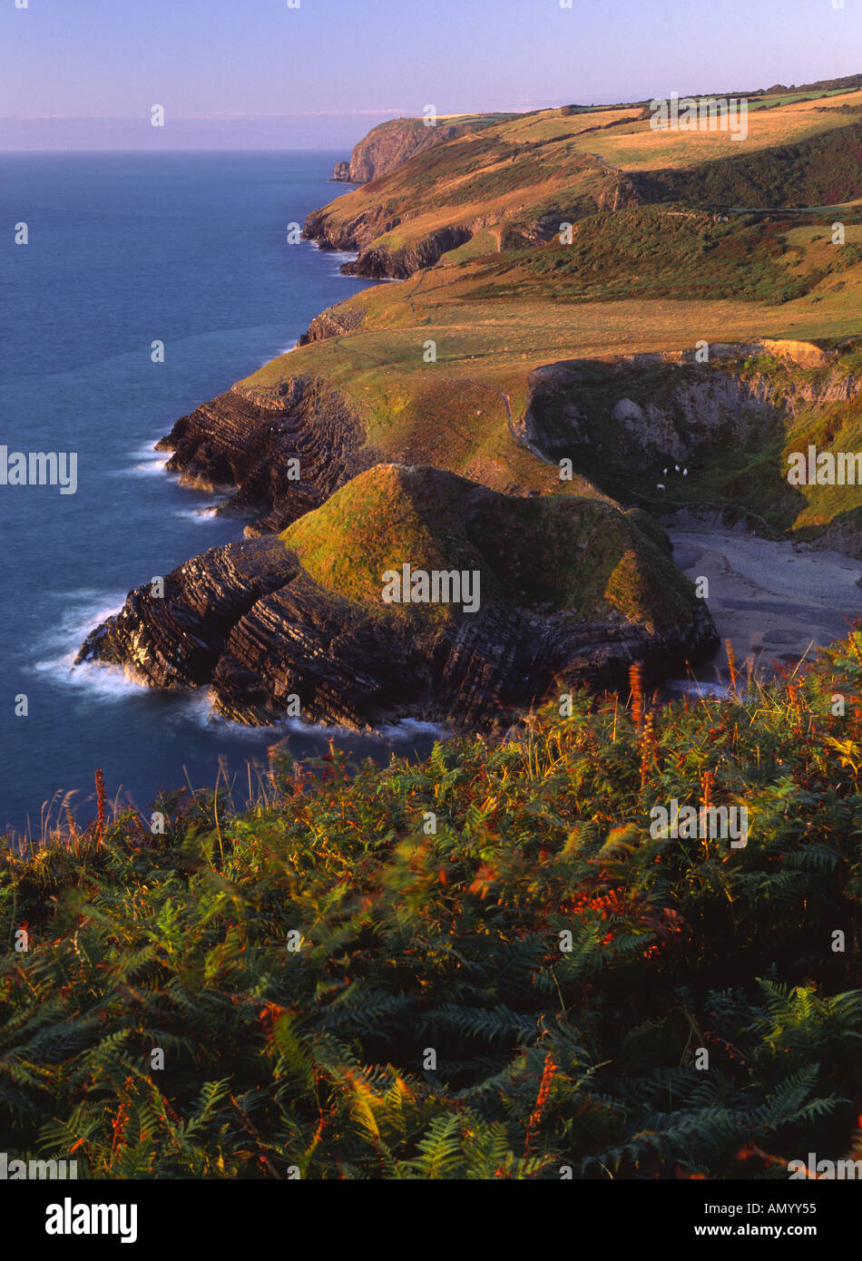 Cardiganshire Coastline above Cwm Tydi on Cardigan Bay part of the west ...