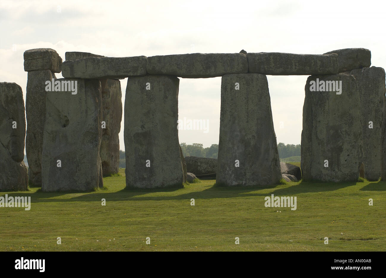 Sturdy stature hi-res stock photography and images - Alamy