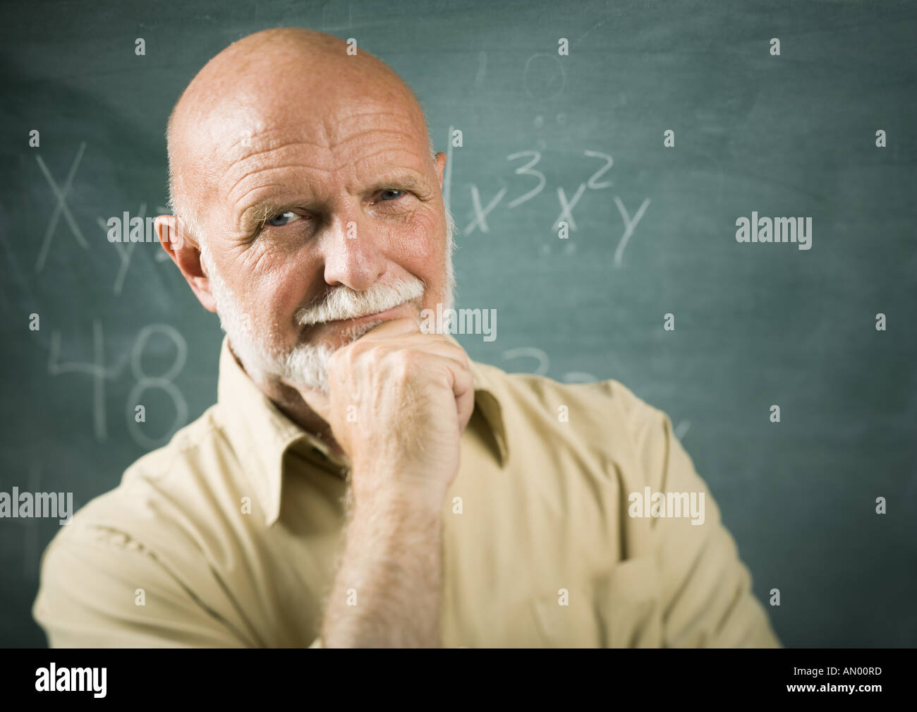 Portrait of a senior male professor standing in front of a blackboard ...