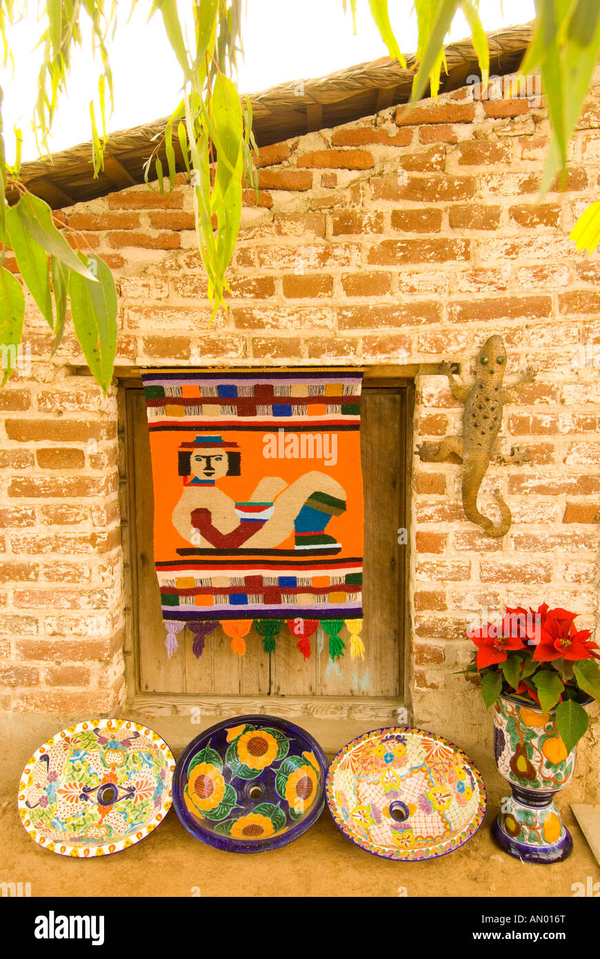 Baja mexico flowers hi-res stock photography and images - Alamy