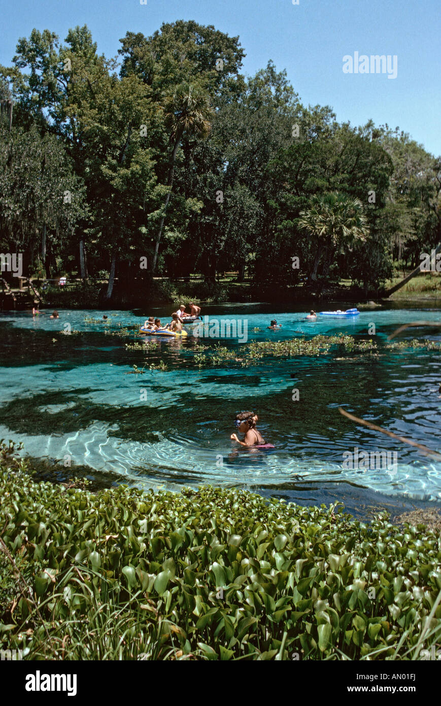 View of De Leon Springs in the state of Florida USA Stock Photo - Alamy