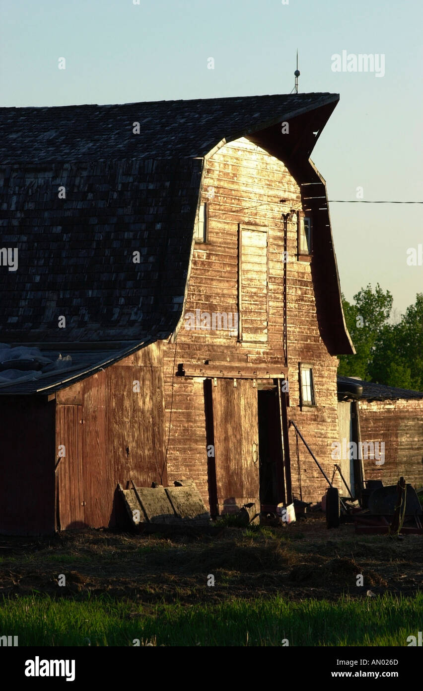 Manitoba Prairie Scenes Stock Photo - Alamy