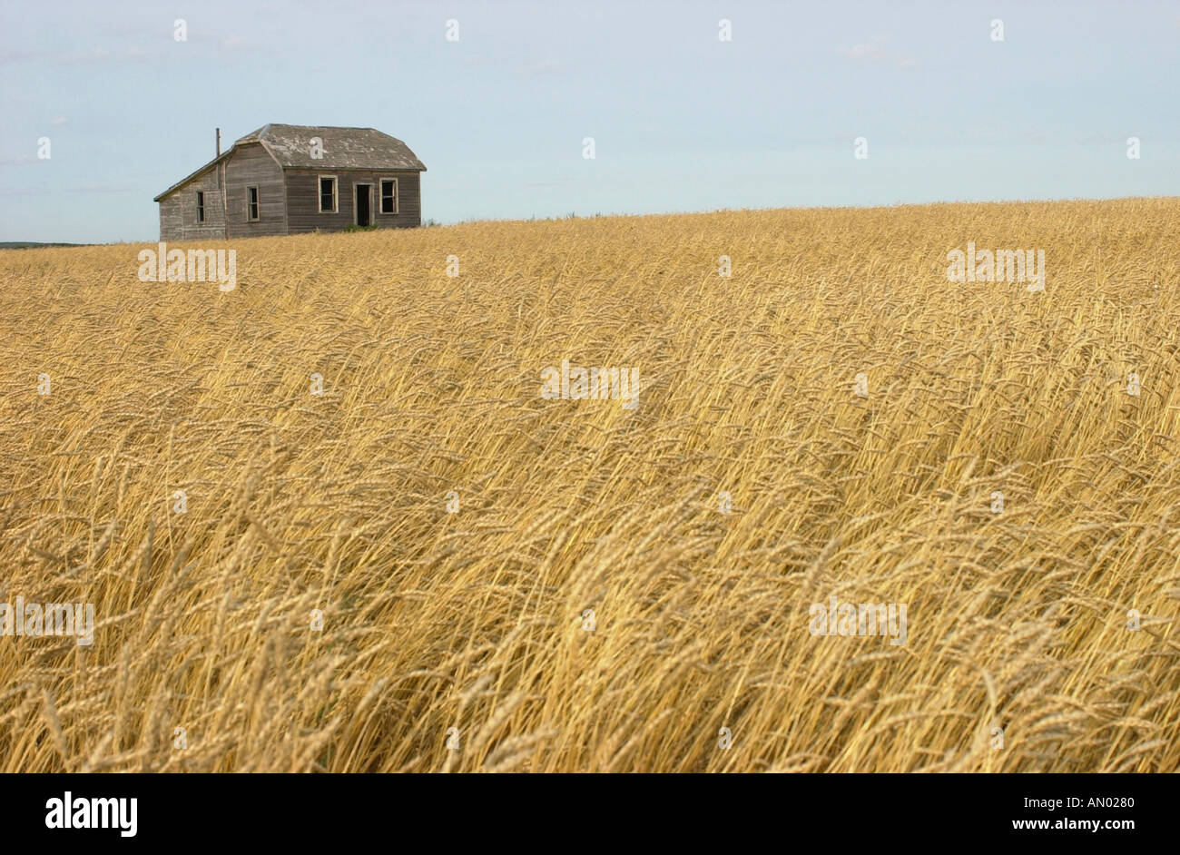 Prairie scenes hi-res stock photography and images - Alamy