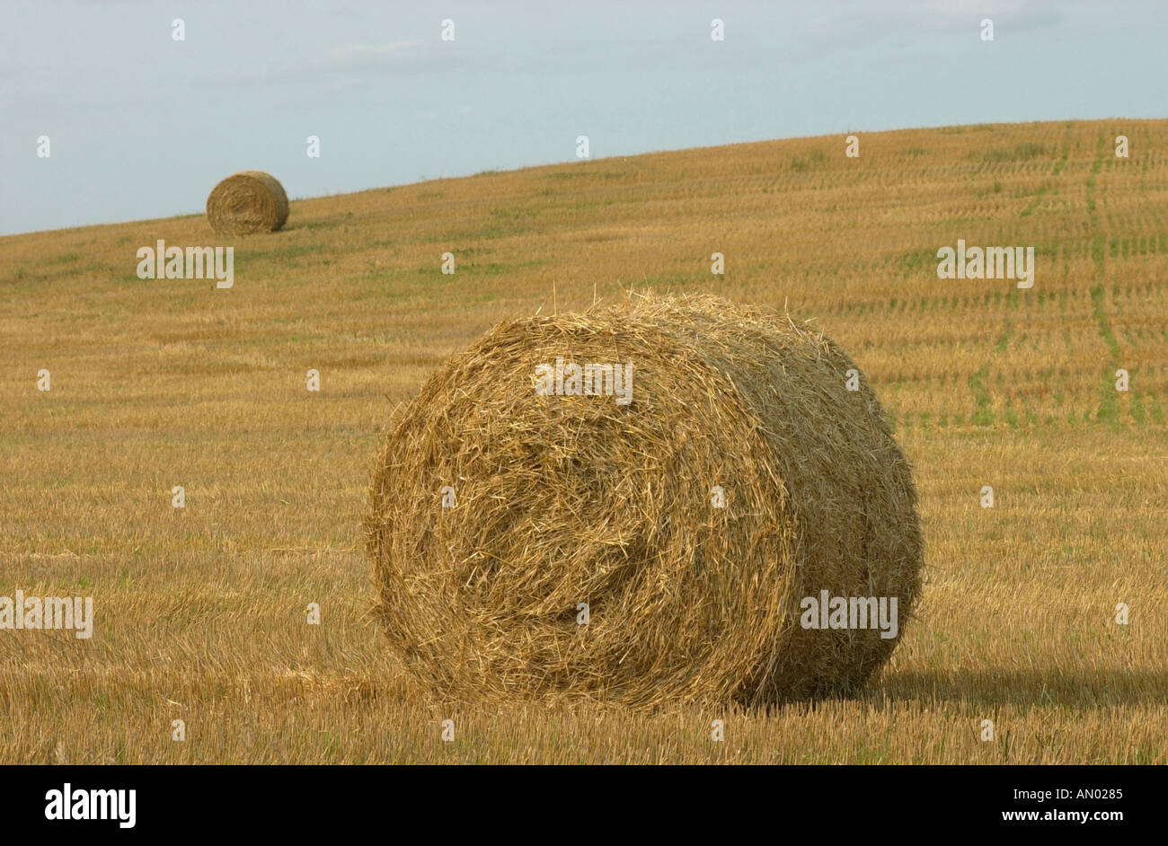 Manitoba Prairie Scenes Stock Photo - Alamy