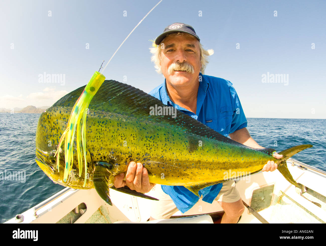Mexico Baja California Sea of Cortez Mature fisherman landing a large ...