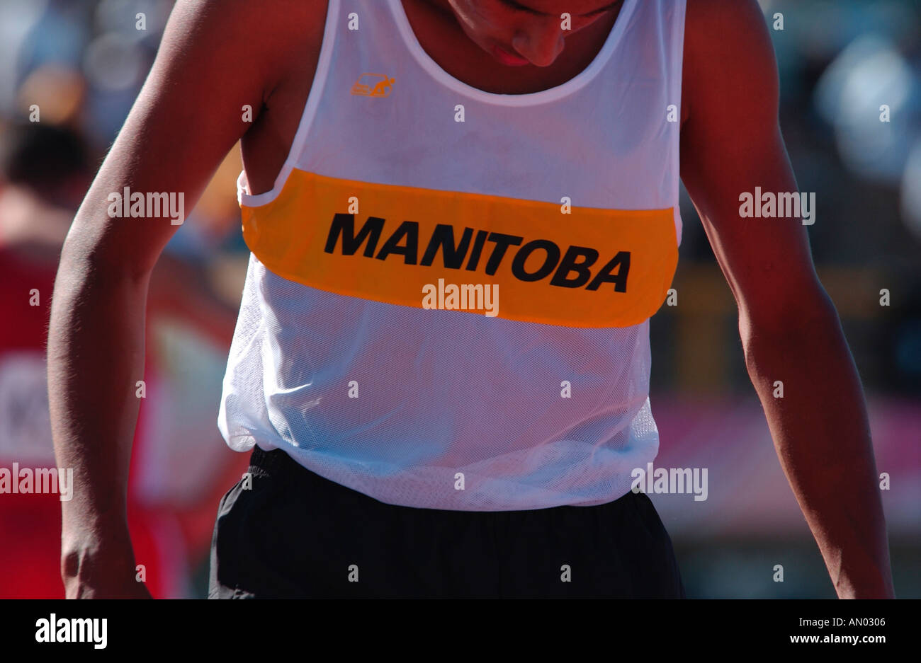 Naig 2002 hi-res stock photography and images - Alamy