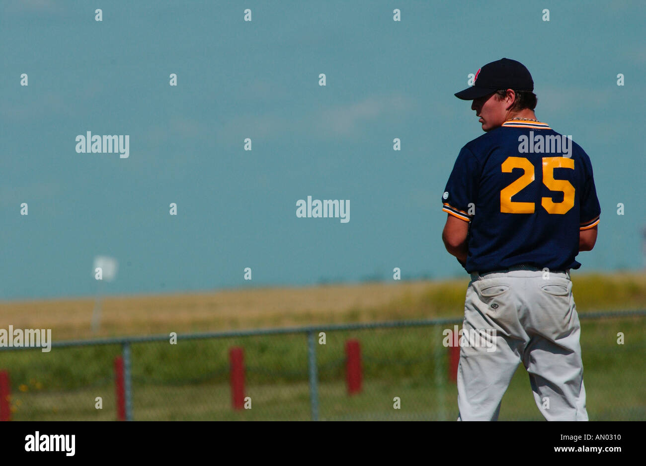 Naig 2002 hi-res stock photography and images - Alamy