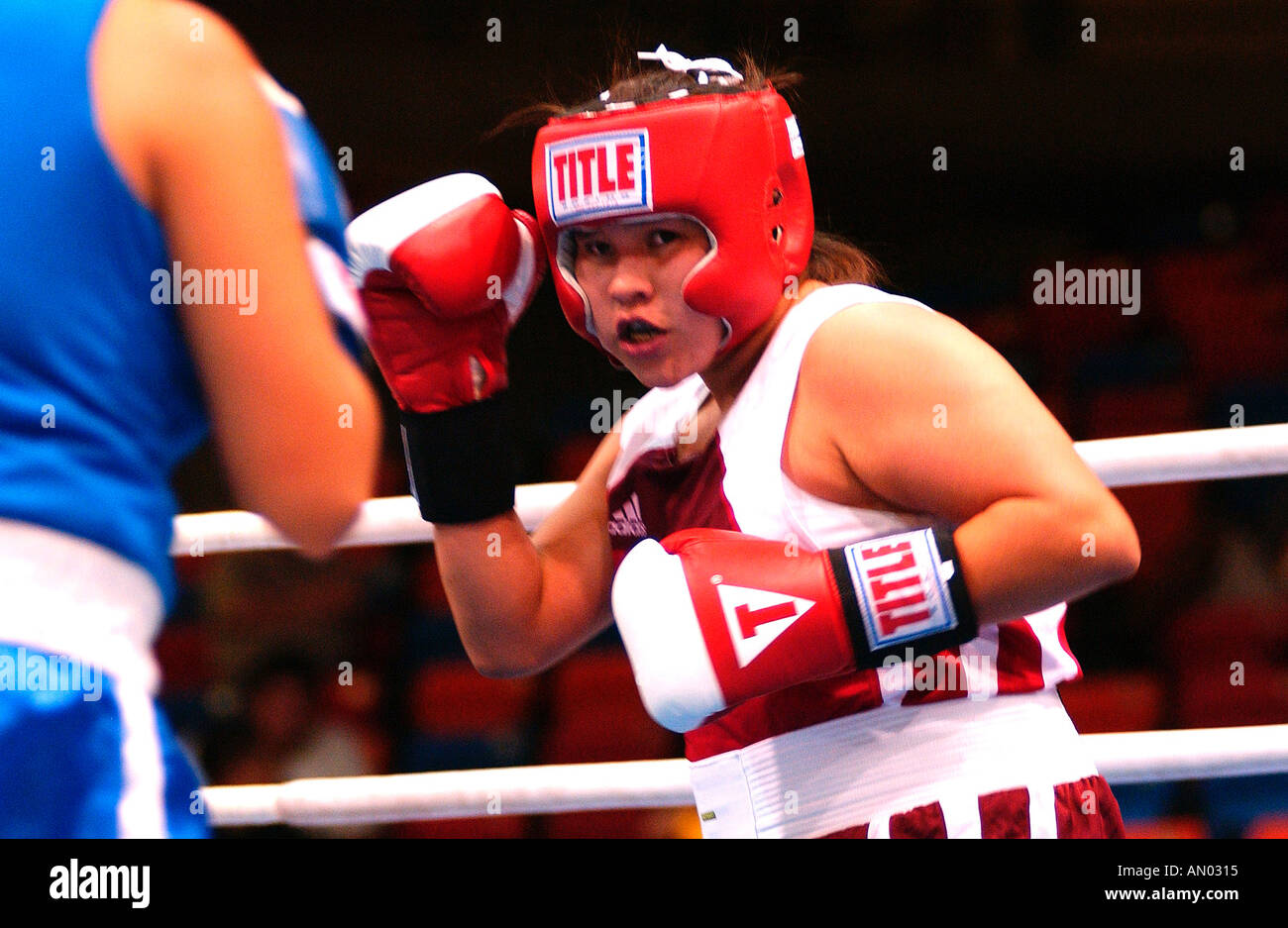 Naig 2002 hi-res stock photography and images - Alamy
