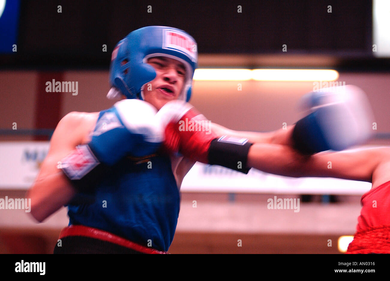 Naig 2002 hi-res stock photography and images - Alamy