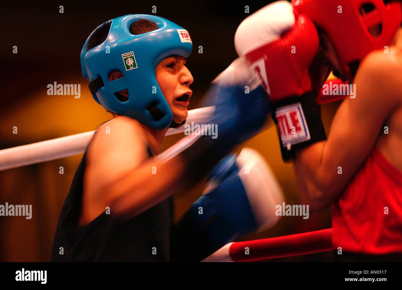 Naig hi-res stock photography and images - Alamy