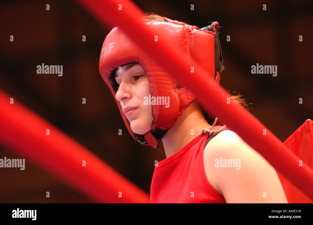 Naig hi-res stock photography and images - Alamy