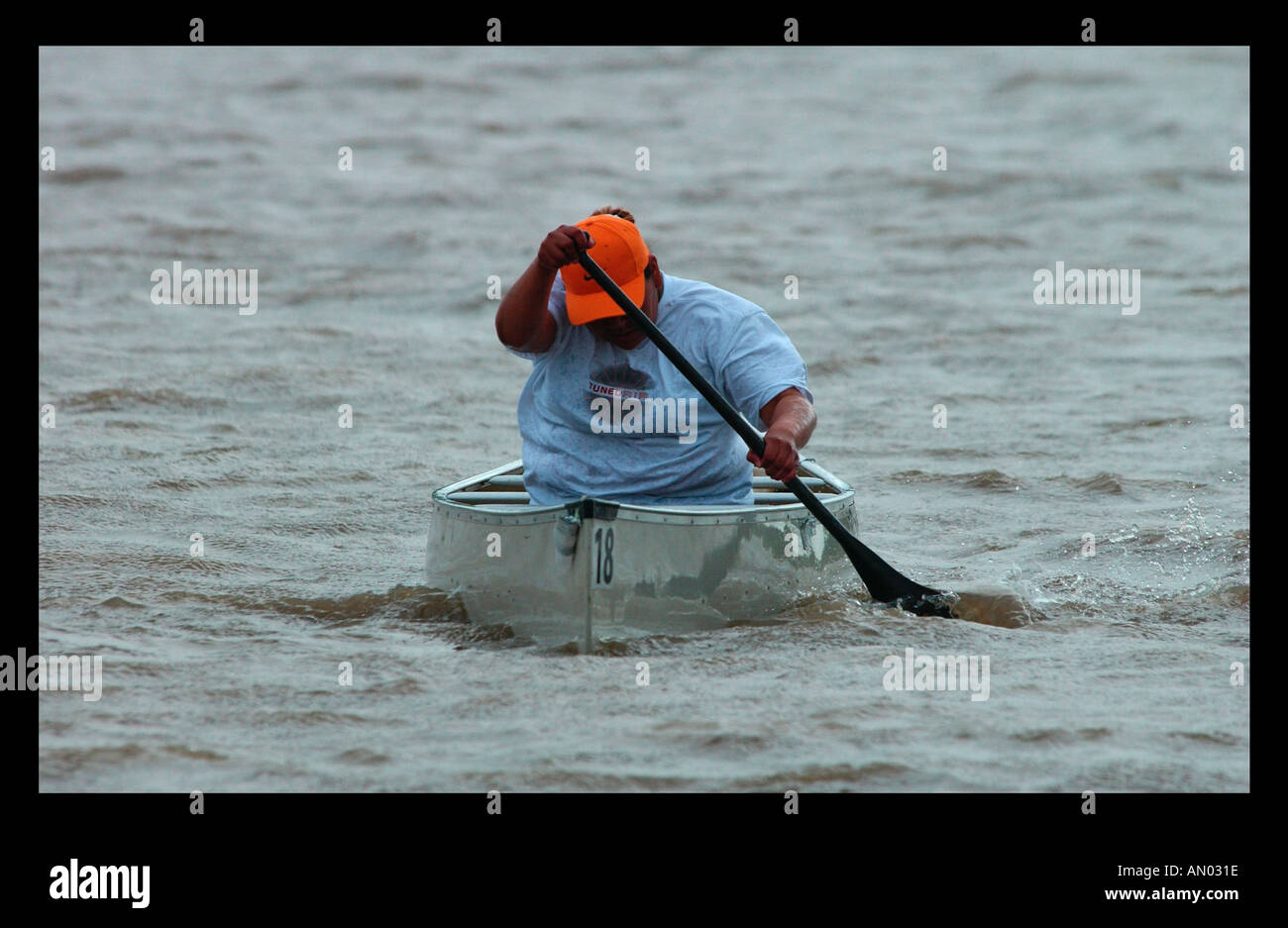 Naig 2002 hi-res stock photography and images - Alamy