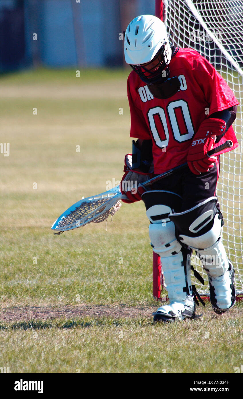 Naig 2002 hi-res stock photography and images - Alamy