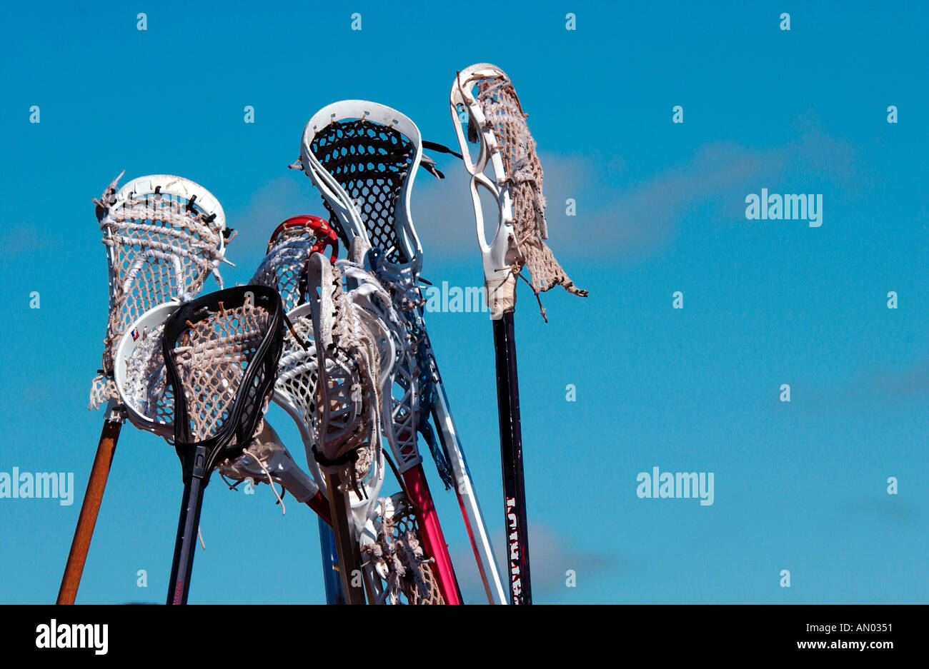Naig 2002 hi-res stock photography and images - Alamy