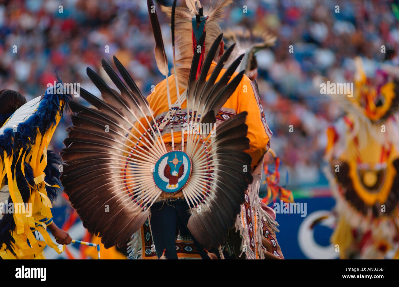 Naig hi-res stock photography and images - Alamy