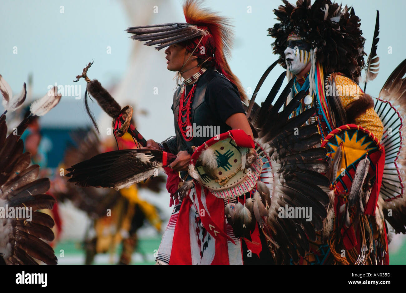 Naig hi-res stock photography and images - Alamy