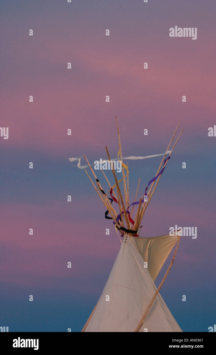 Naig 2002 hi-res stock photography and images - Alamy