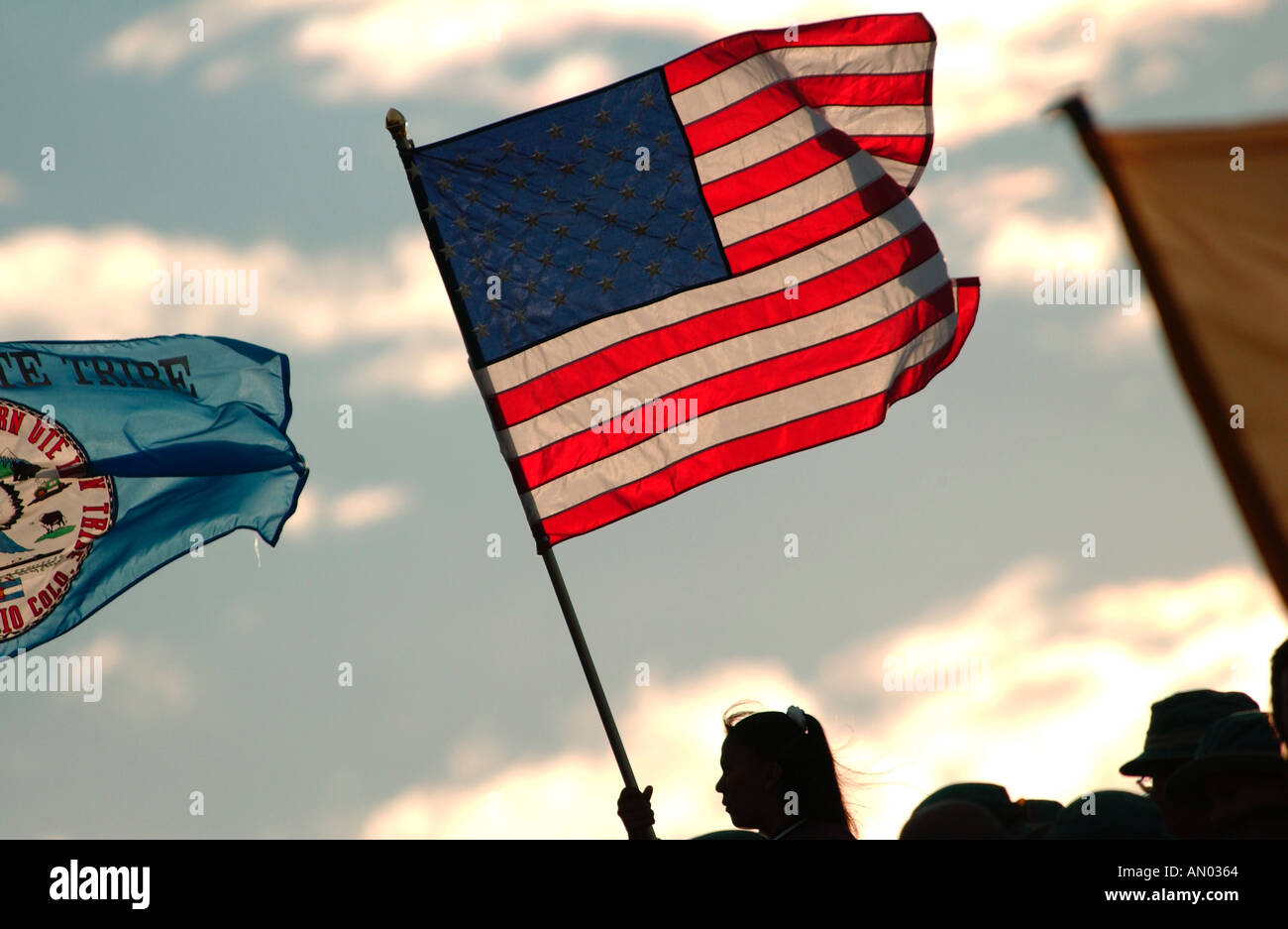 Naig 2002 hi-res stock photography and images - Alamy