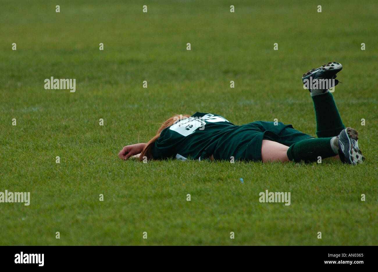 Naig 2002 hi-res stock photography and images - Alamy