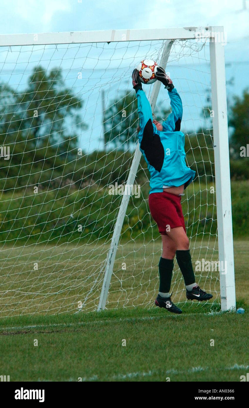 Naig 2002 hi-res stock photography and images - Alamy