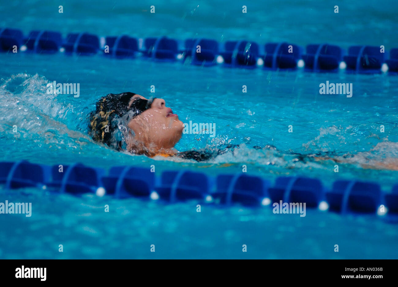 Naig 2002 hi-res stock photography and images - Alamy