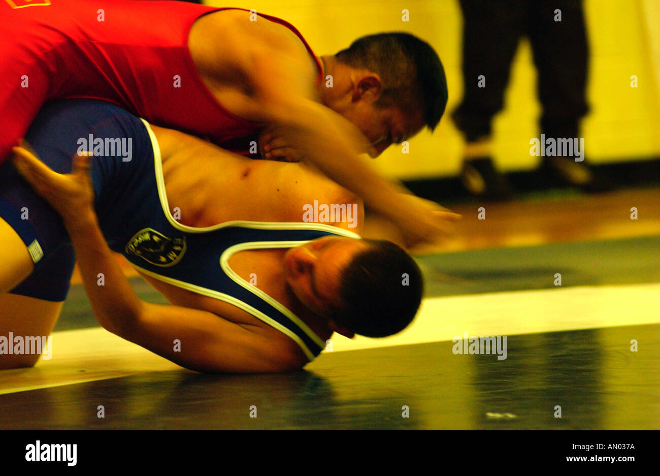 Naig hi-res stock photography and images - Alamy