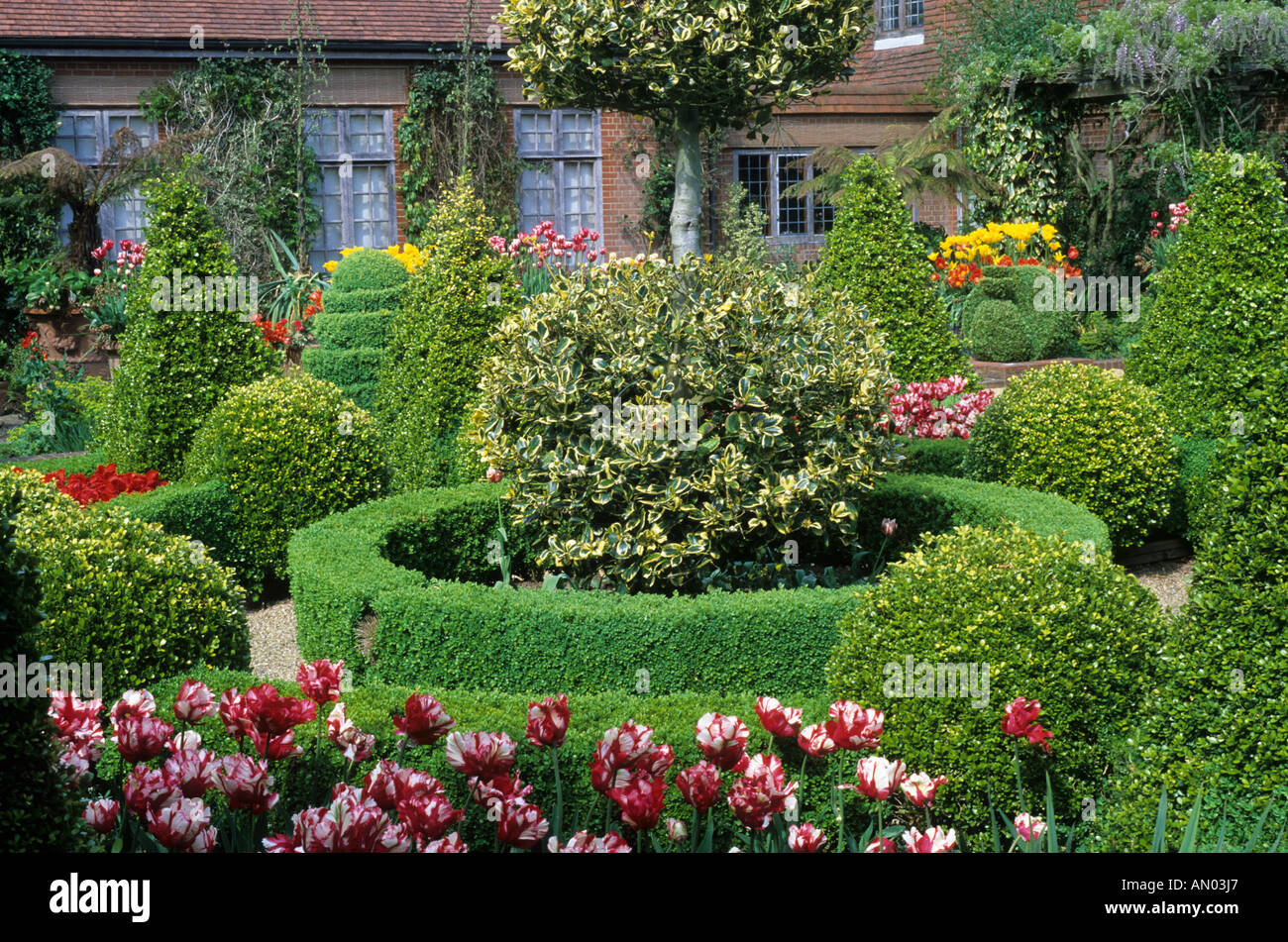 East Ruston Old Vicarage garden norfolk box hedges shapes topiary Ilex standard Spring planting ...