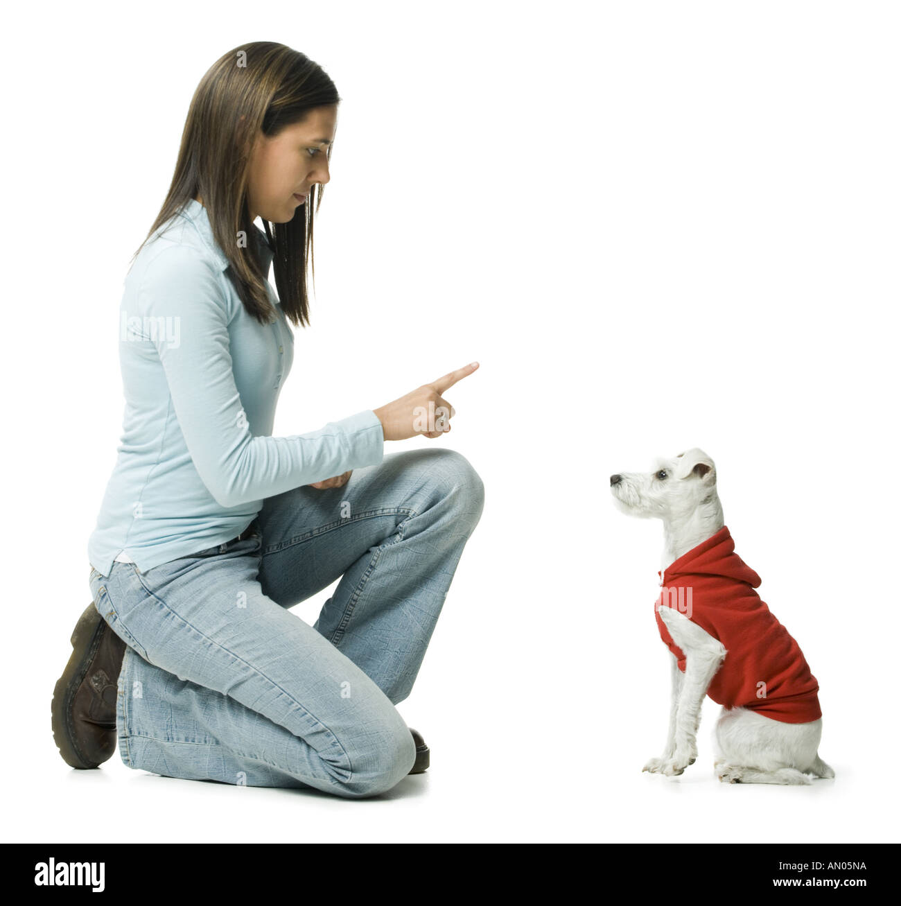 Full instructions Cut Out Stock Images & Pictures - Alamy